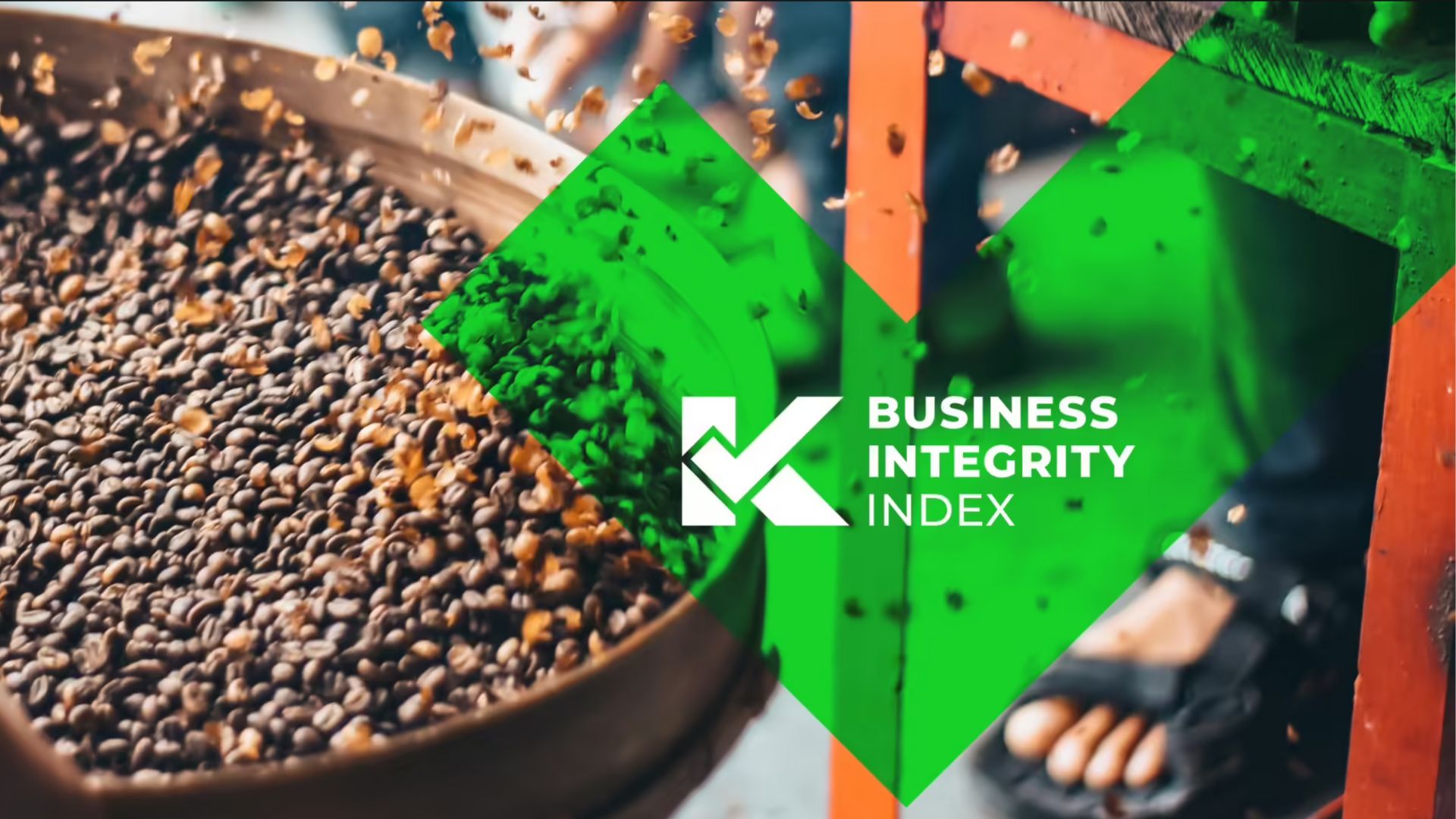 Castor Vali Africa - a Business Integrity Index Company