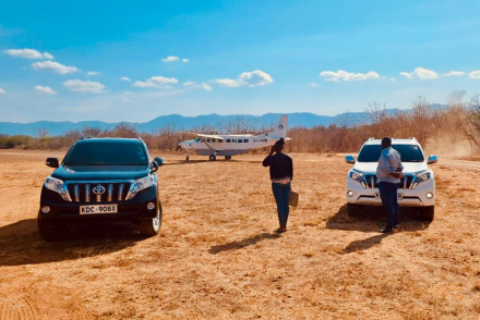 Corporate Security and Risk Management - Castor Vali