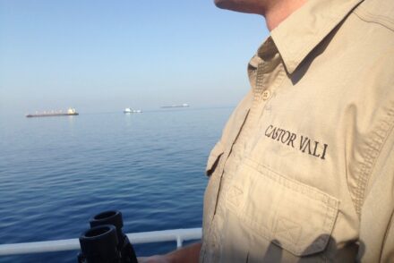 Corporate Security and Risk Management - Castor Vali