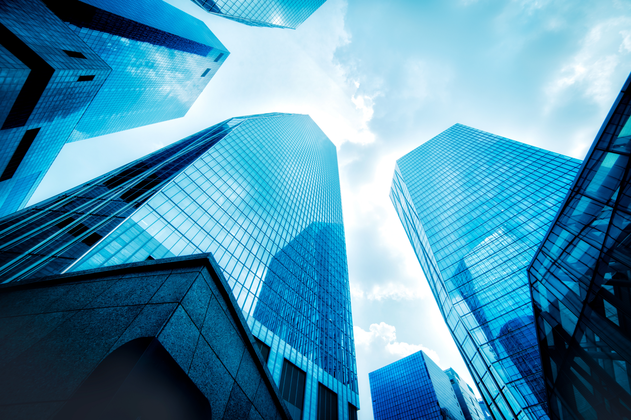 ZT - New Template - Castor Vali