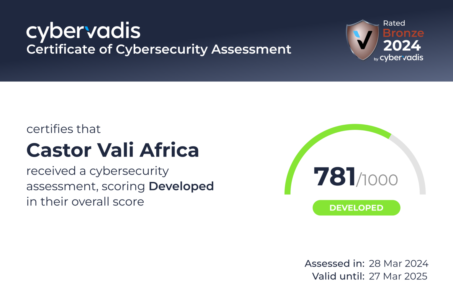 Bronze medal award for outstanding performance on CyberVadis ...